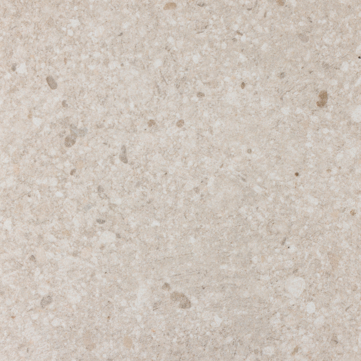 Memory Marfil Matt | Tiles / Porcelain / Wall & Floor – Earp Bros