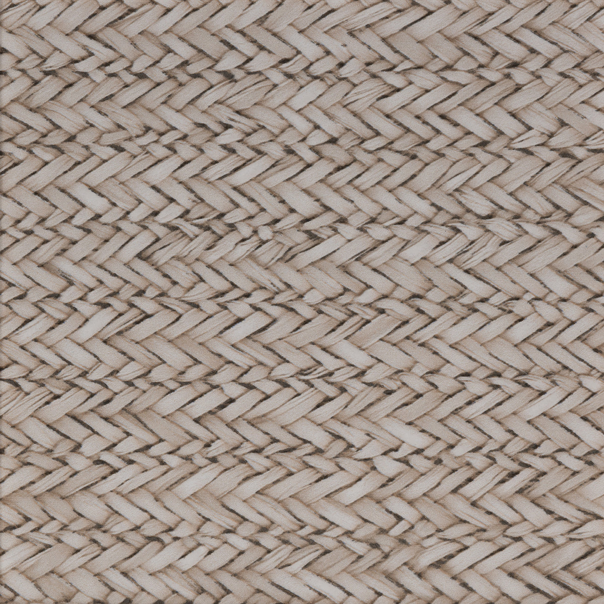 Treccia Natural | Tiles / Ceramic / Decorative – Earp Bros